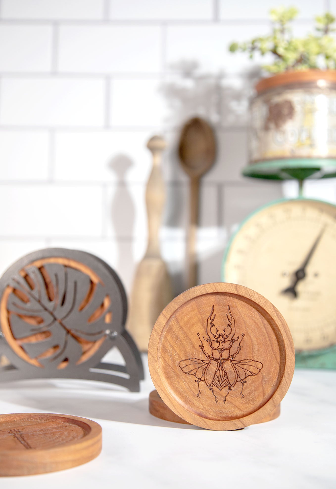 Don't Bug Me Wood Coaster Set – The Tipsy Anvil Co.