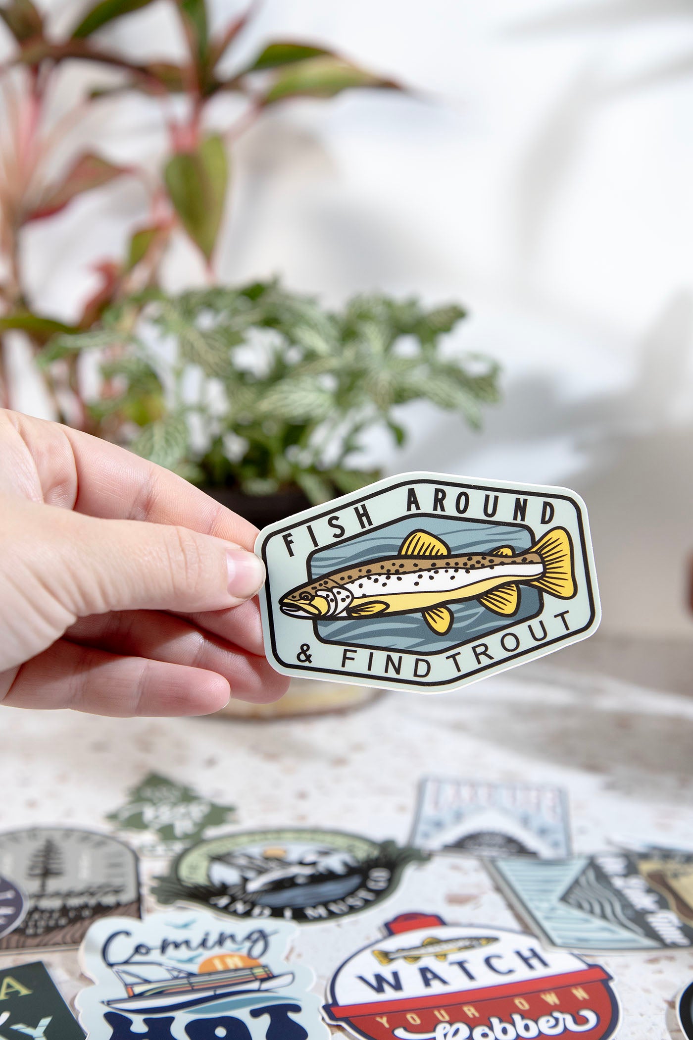 Fish Around Find Trout Sticker – The Tipsy Anvil Co.