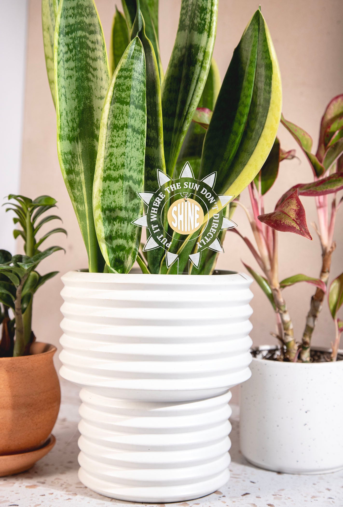 Put It Where The Sun Dont Shine Plant Stake – The Tipsy Anvil Co.